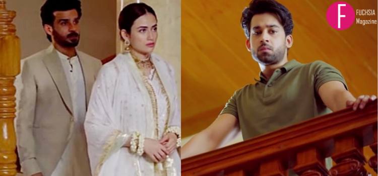 Does Safeer not deserve to know? 3 options open to Haider & Amal's plan!