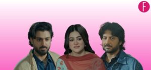 Ghulam Bashah: First Episodes, First Review